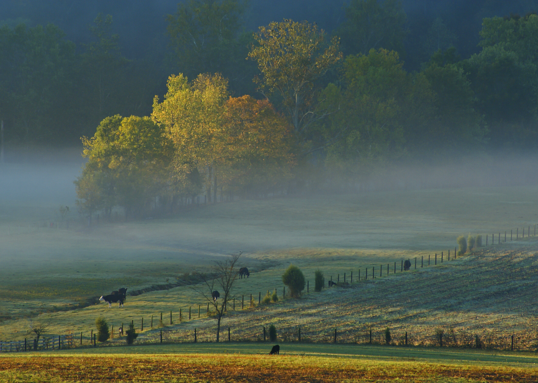 Warmest and Coldest January in Ohio County, Kentucky History | Stacker