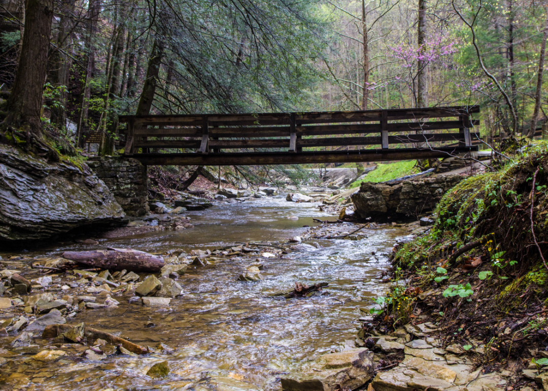 Warmest and Coldest January in Webster County, Kentucky History | Stacker