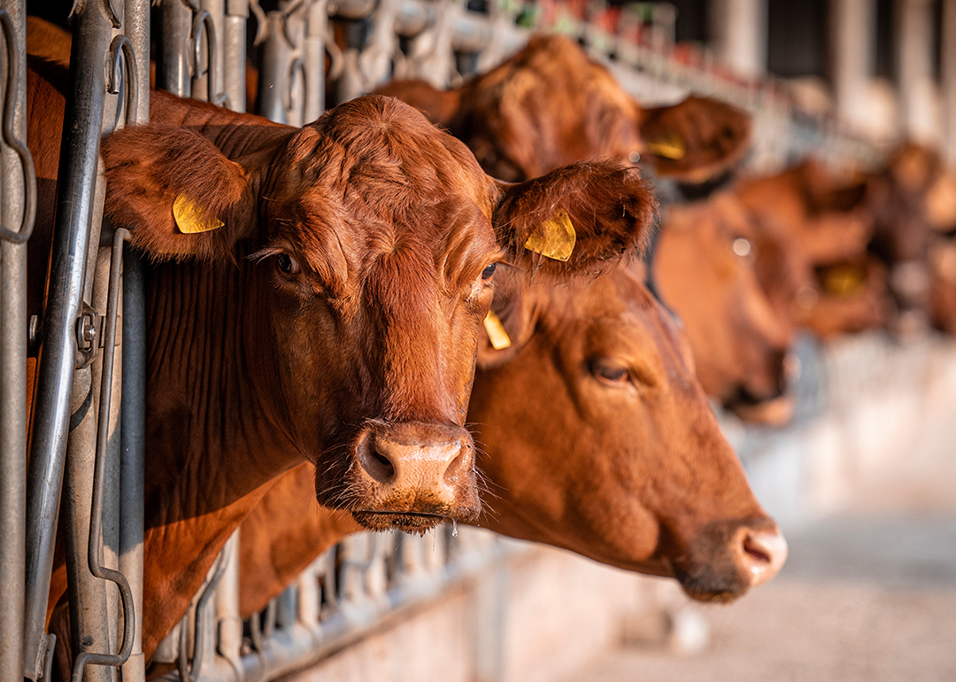 Biggest Exports From Florida | Stacker