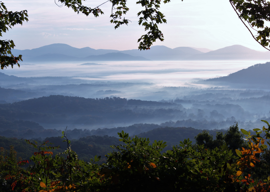Warmest and Coldest January in Craig County, Virginia History | Stacker