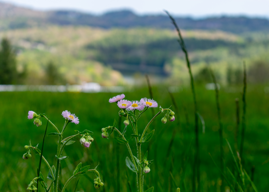 Warmest and Coldest January in Essex County, Virginia History | Stacker