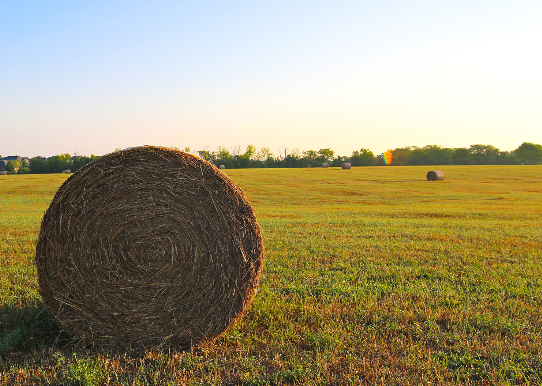 Warmest Decembers in Allen County, Kansas History | Stacker
