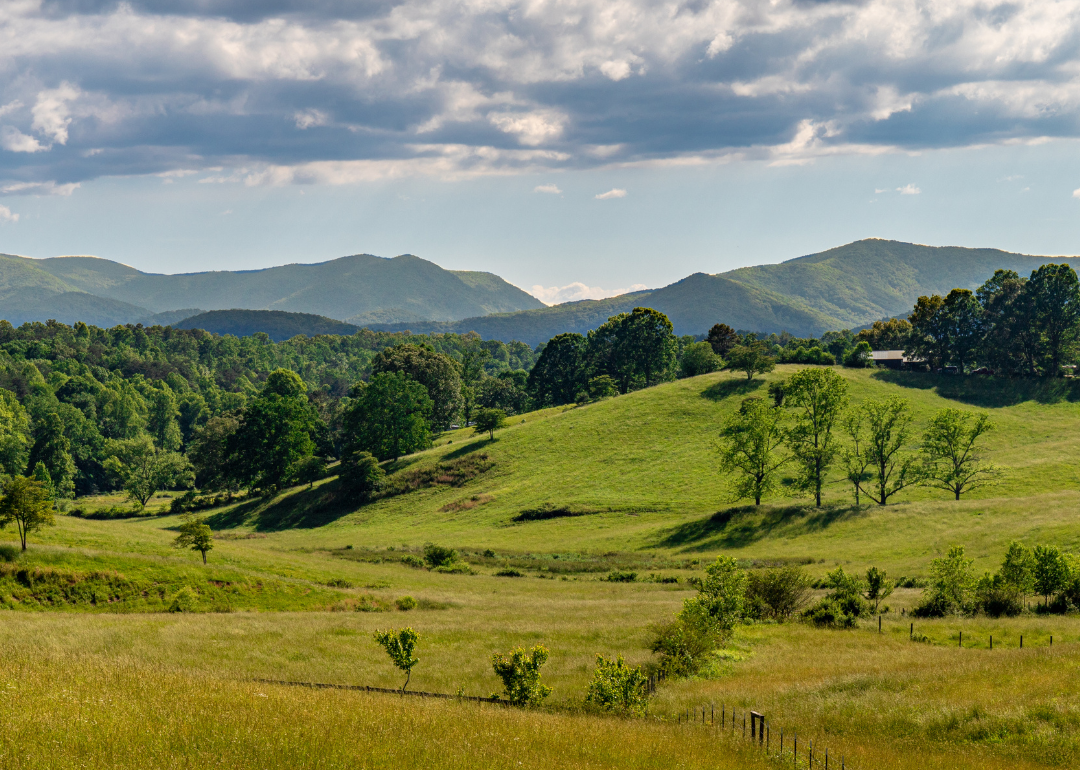 Warmest and Coldest January in Buena Vista City, Virginia History | Stacker