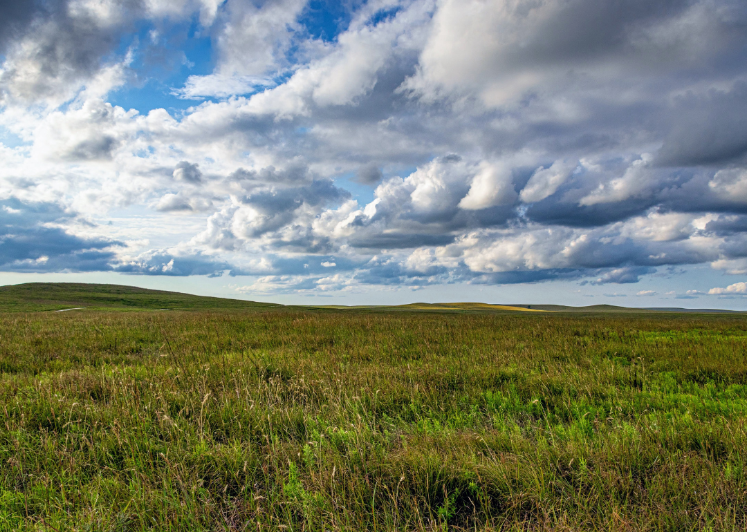 Warmest and Coldest January in Elk County, Kansas History | Stacker