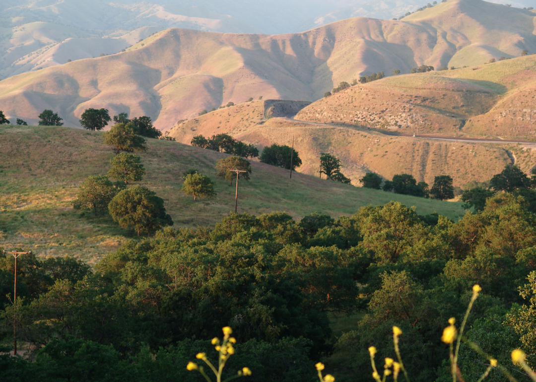 Oregon is the #5 State With the Most Land Owned by the Federal ...
