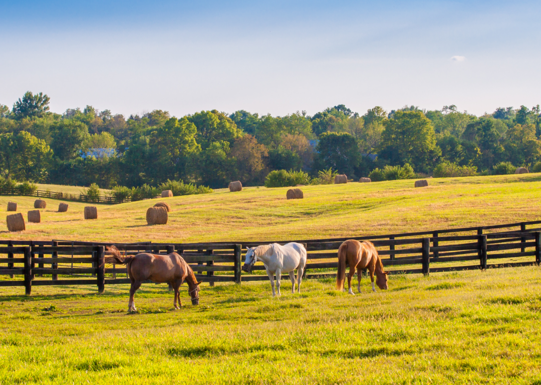 Warmest and Coldest January in Bourbon County, Kentucky History | Stacker