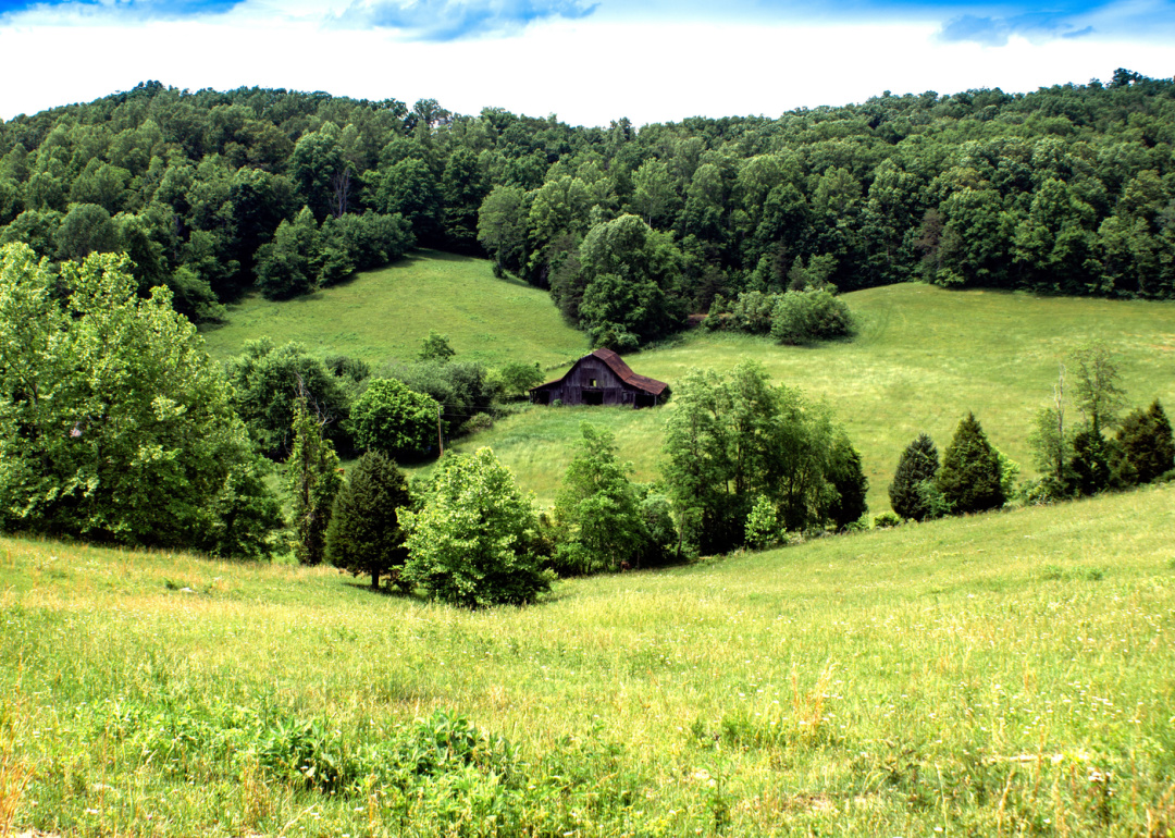 Warmest and Coldest Februaries in Estill County, Kentucky History | Stacker