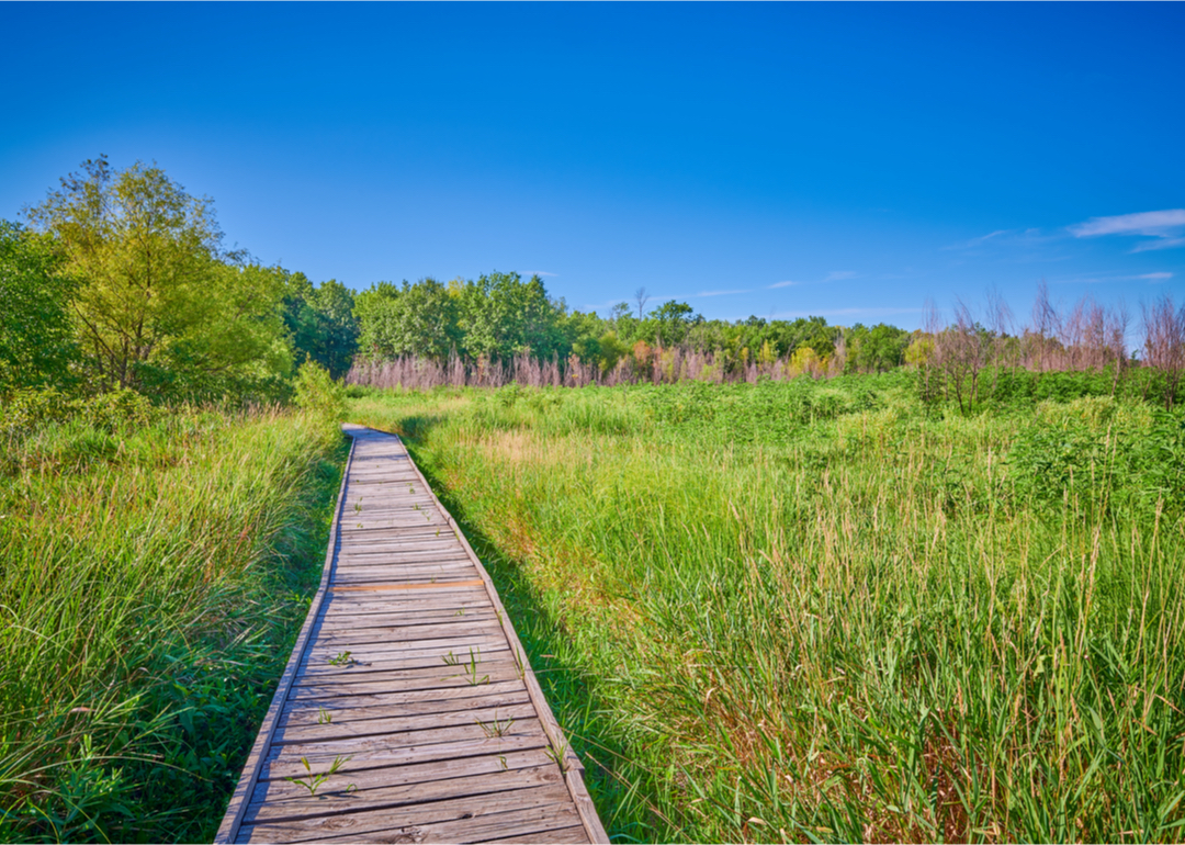 Warmest and Coldest January in Osage County, Missouri History | Stacker