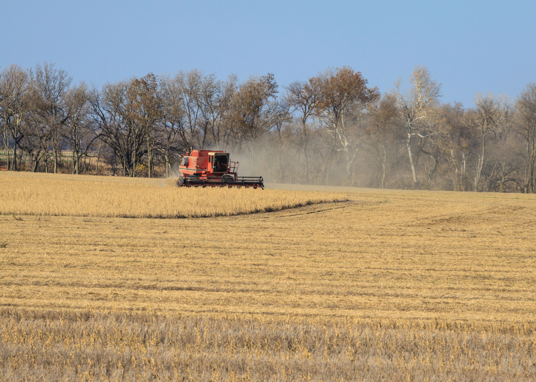 Warmest and Coldest January in Linn County, Kansas History | Stacker