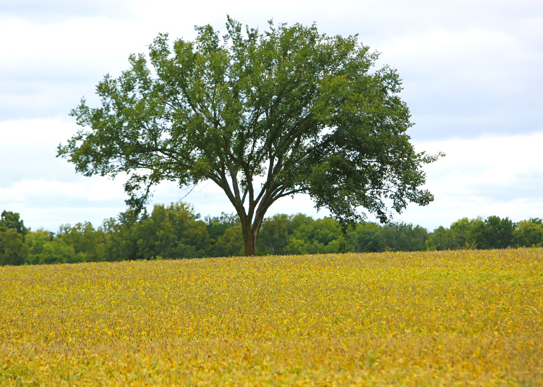 Warmest and Coldest January in Republic County, Kansas History | Stacker