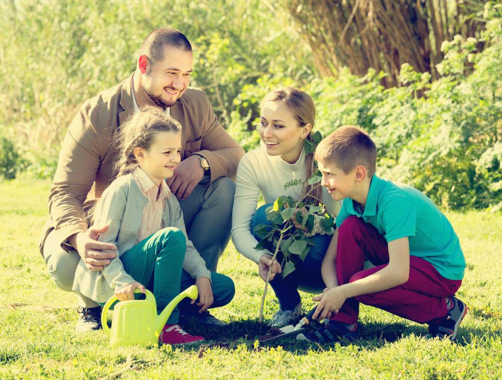 Where to Celebrate Earth Day in Every State | Stacker