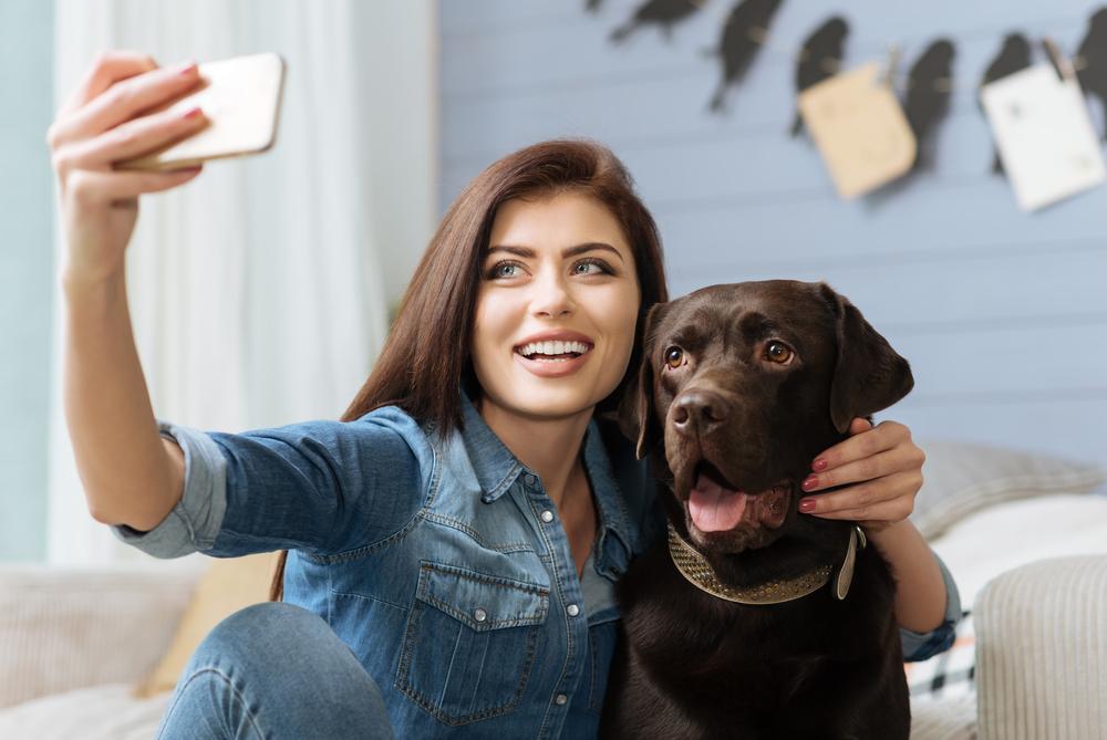 Great Dog Breeds for Millennials | Stacker