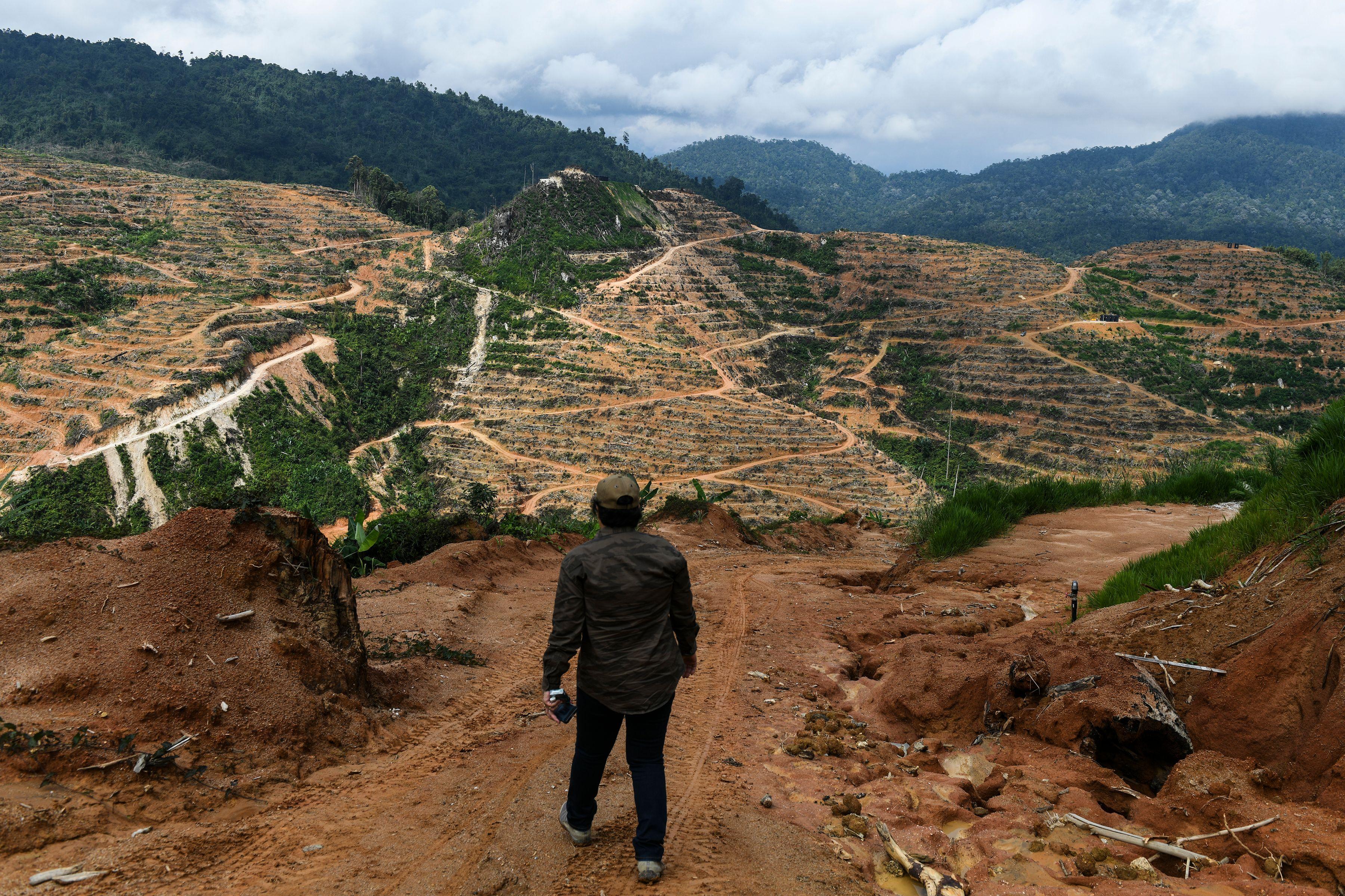 Most Dangerous Countries for Environmentalists | Stacker