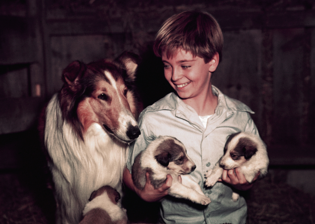 Jodie Foster Coppertone Commercial 1965