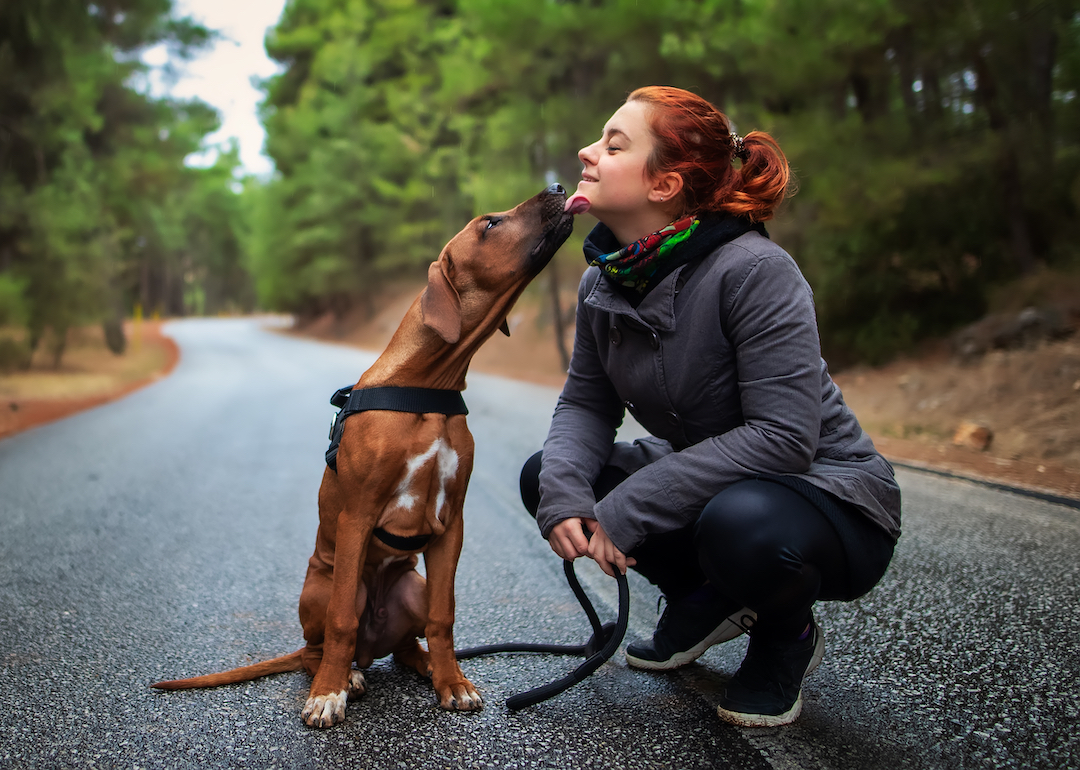 Easy Dog Breeds for First-time Owners | Stacker