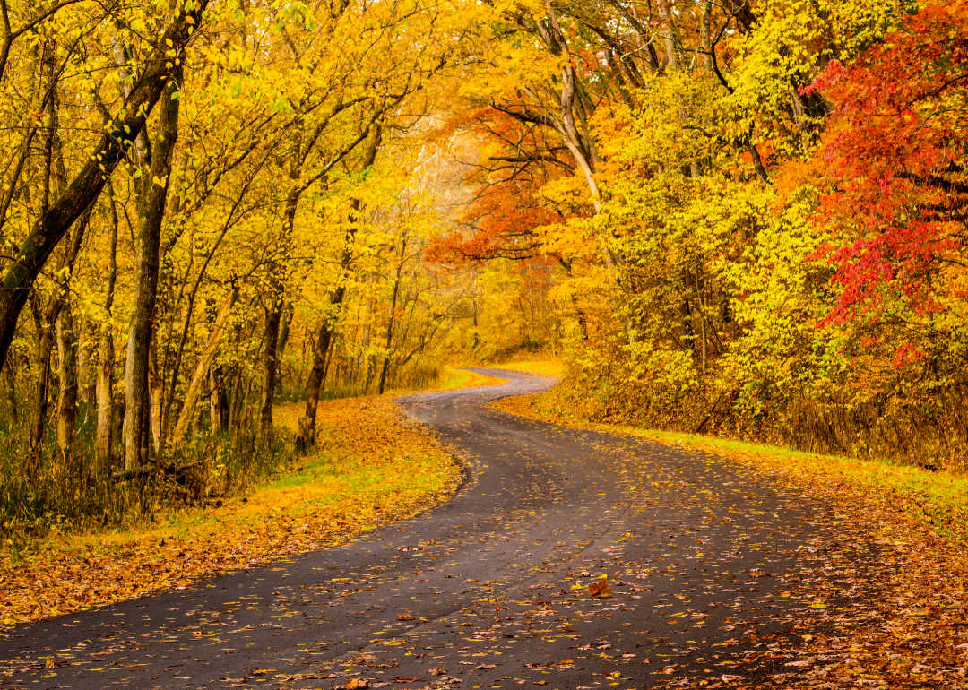 Warmest and Coldest January in Trumbull County, Ohio History | Stacker
