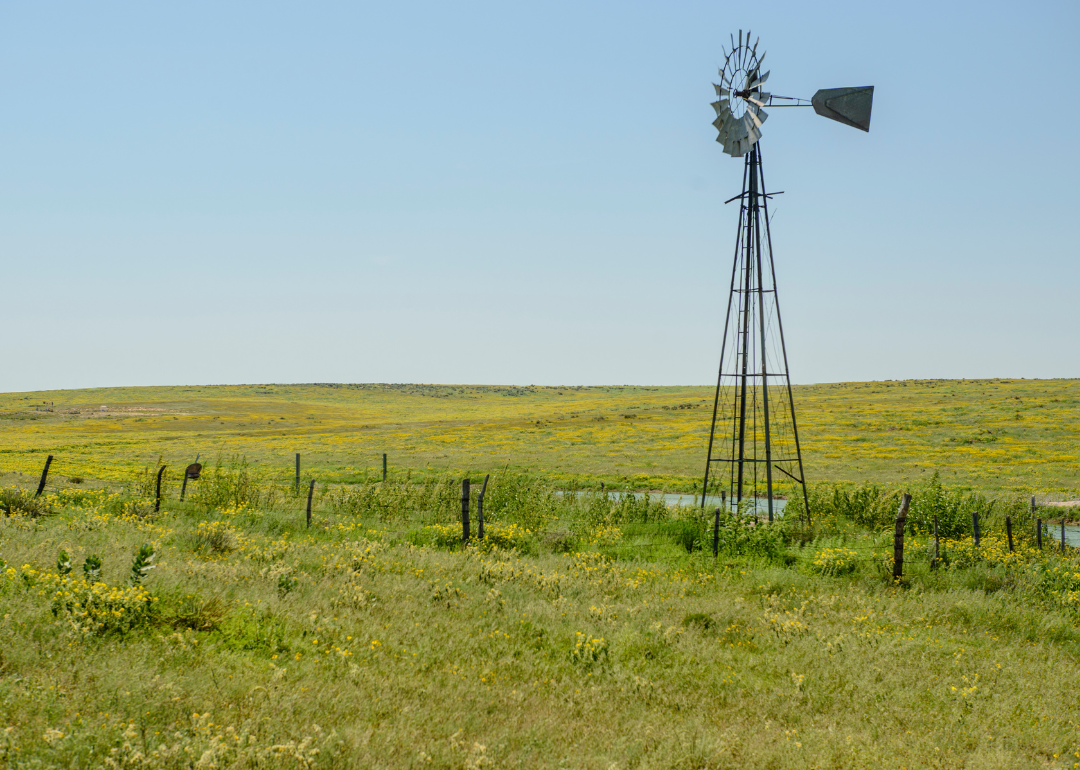 Warmest and Coldest Februaries in Wichita County, Kansas History | Stacker