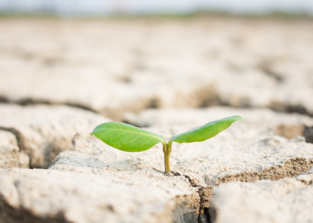 Utah is the #4 Most Drought-ridden State | Stacker