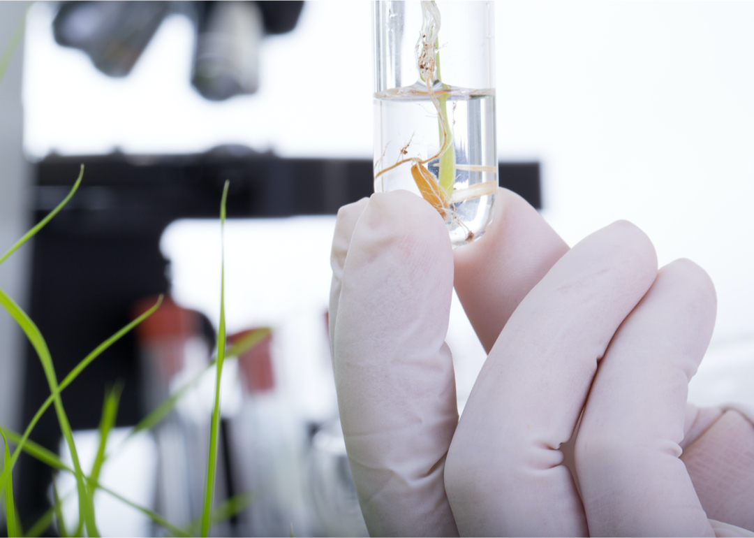 Highest-paying Science Jobs in Goldsboro | Stacker
