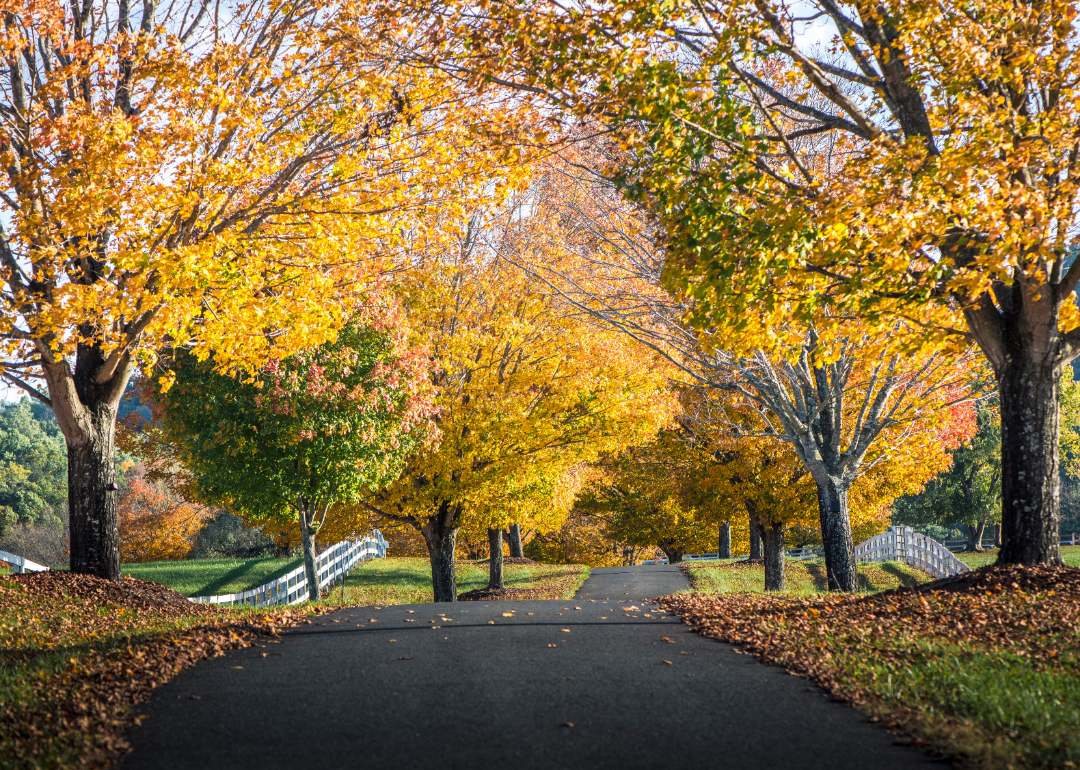 Warmest and Coldest January in Halifax County, Virginia History | Stacker