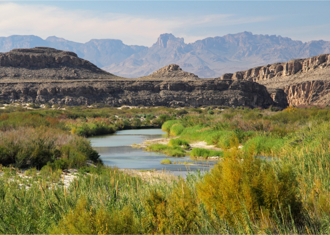 Texas Has the #5 Largest Native American Population in the U.S. | Stacker