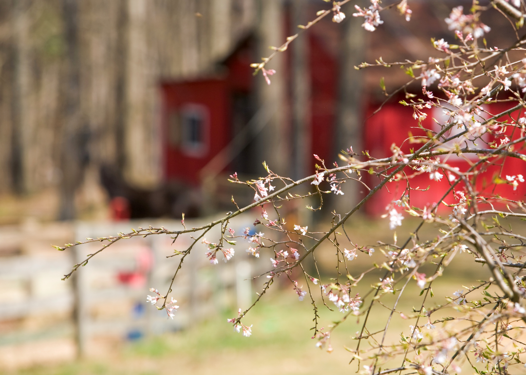 Warmest and Coldest January in Letcher County, Kentucky History | Stacker