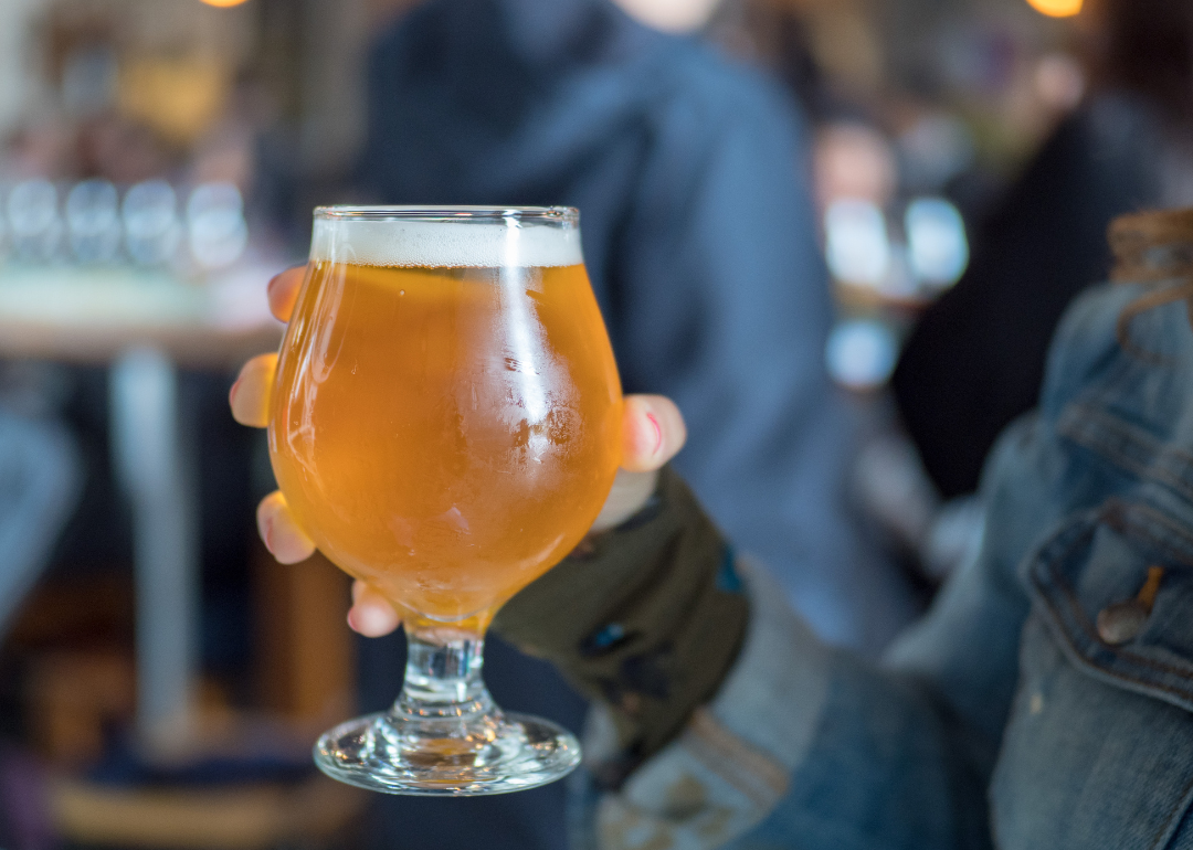 Highest Rated IPAs in Michigan | Stacker