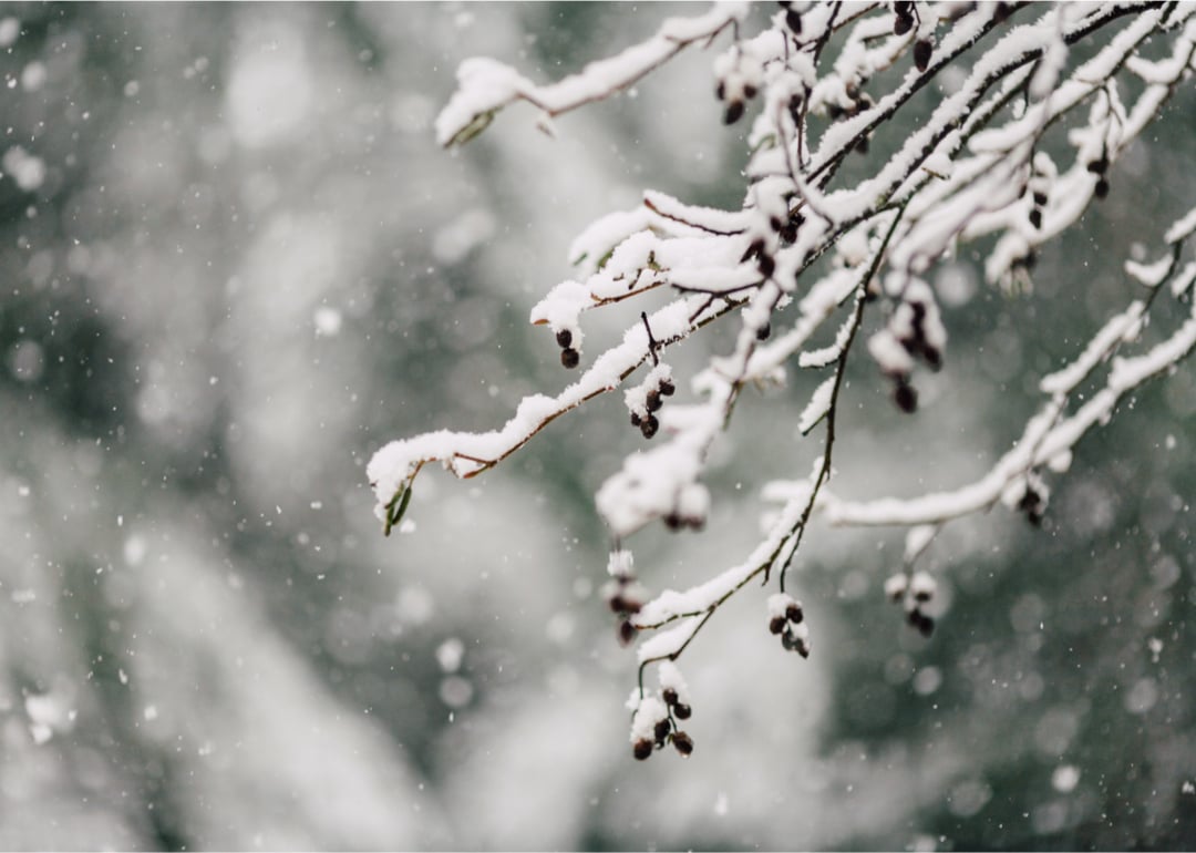 Biggest Snowfall Recorded in Douglas County, NE History | Stacker