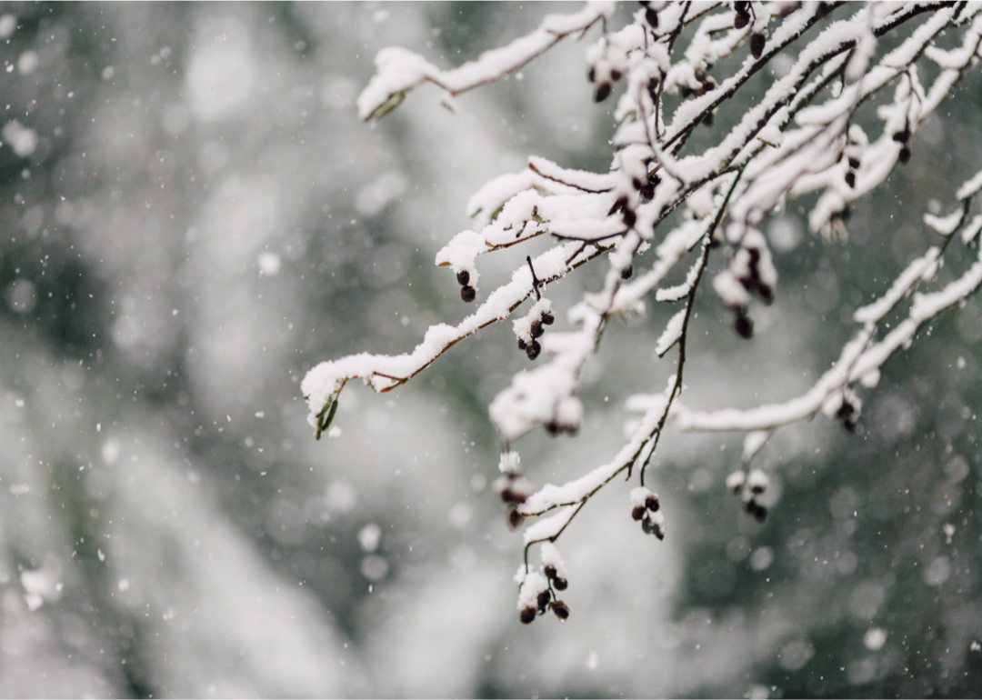Biggest Snowfall Recorded in Lancaster County, SC History | Stacker