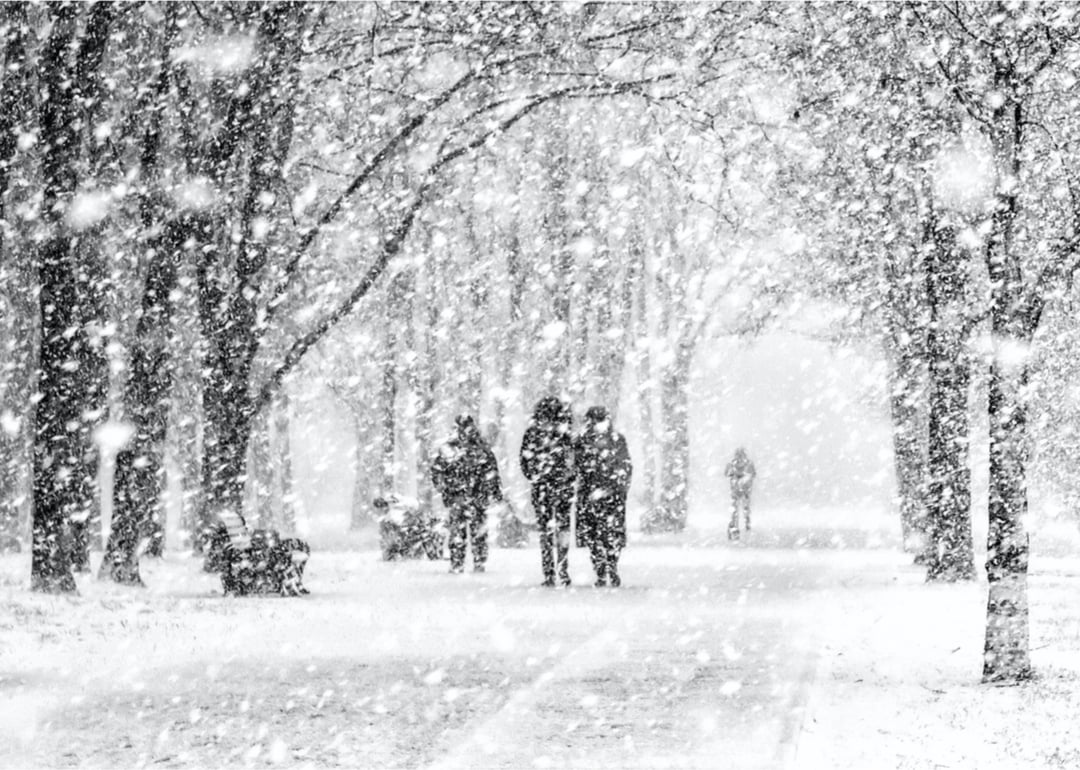 Here's How Much Snow Lee County, Illinois Received in January | Stacker