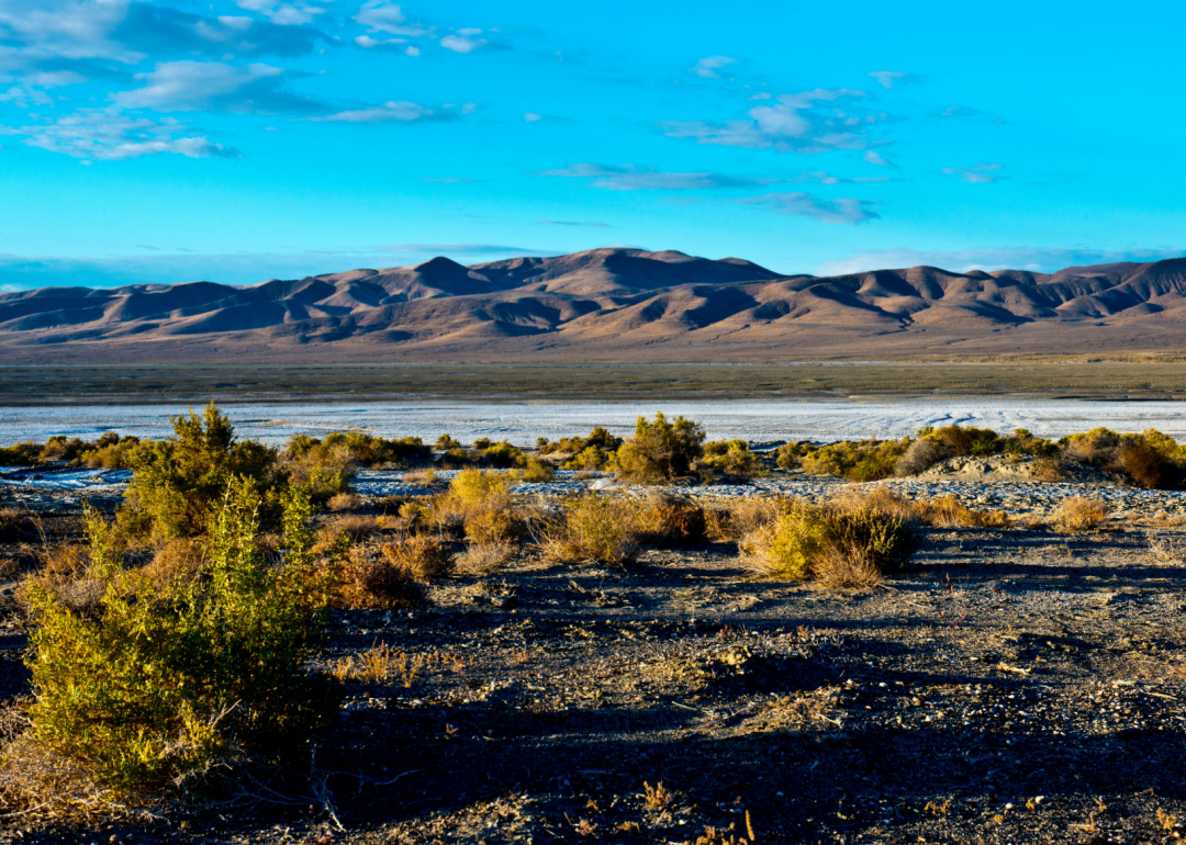 Warmest and Coldest January in Churchill County, Nevada History | Stacker