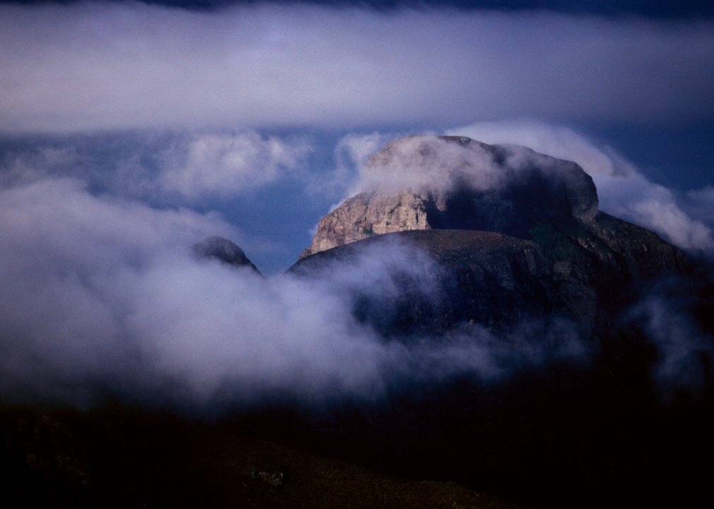 30 Ecosystems at Risk and the Endangered Species That Live There | Stacker