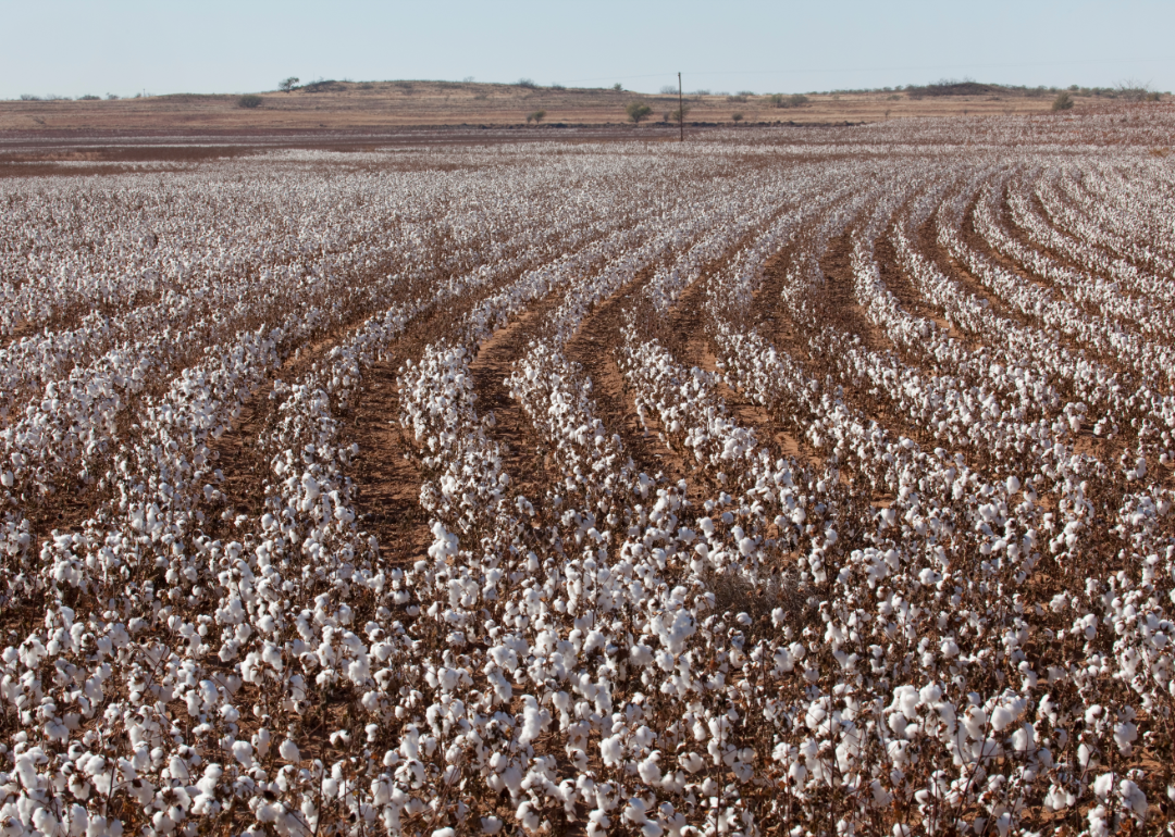 Warmest and Coldest January in Hall County, Texas History | Stacker