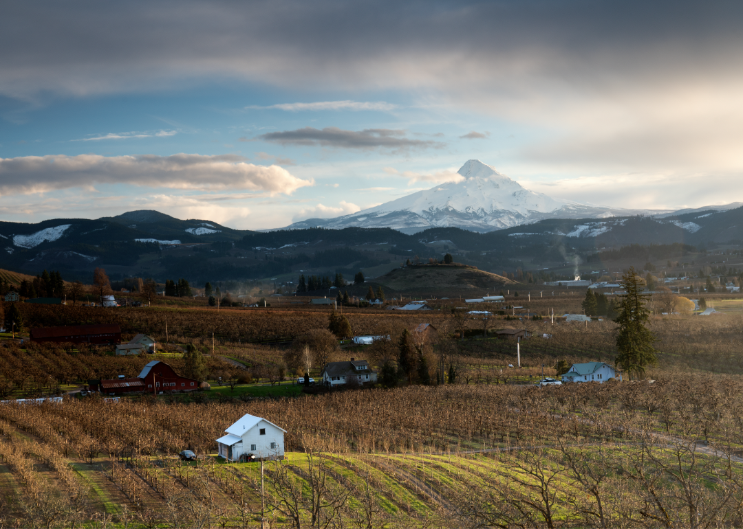 Warmest and Coldest January in Hood River County, Oregon History | Stacker