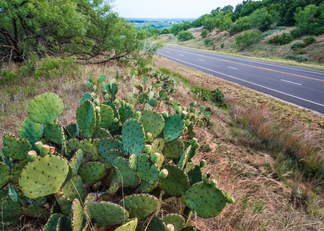 Warmest and Coldest January in Jack County, Texas History | Stacker