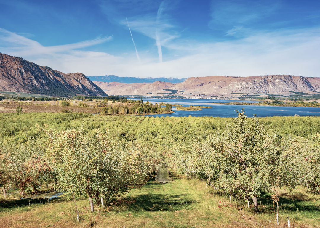 Warmest and Coldest January in Okanogan County, Washington History ...