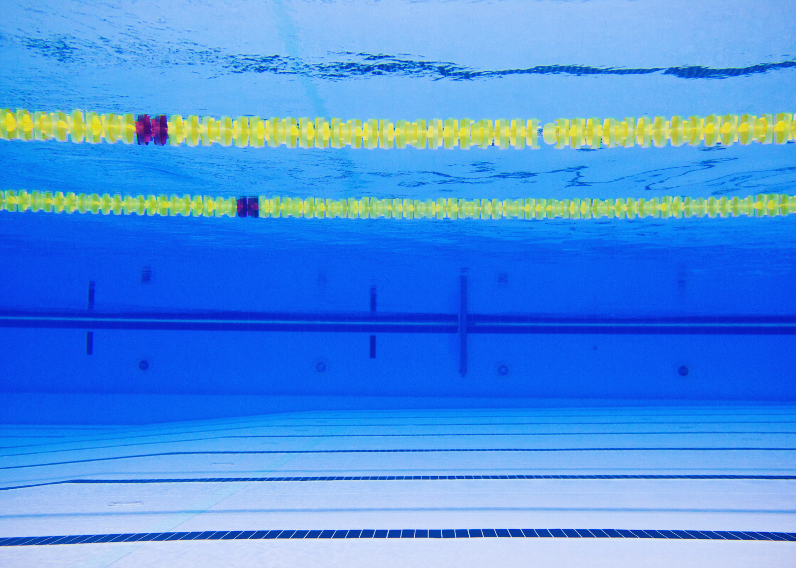 Highest-rated Swimming Pools Near Lancaster, According to Yelp | Stacker