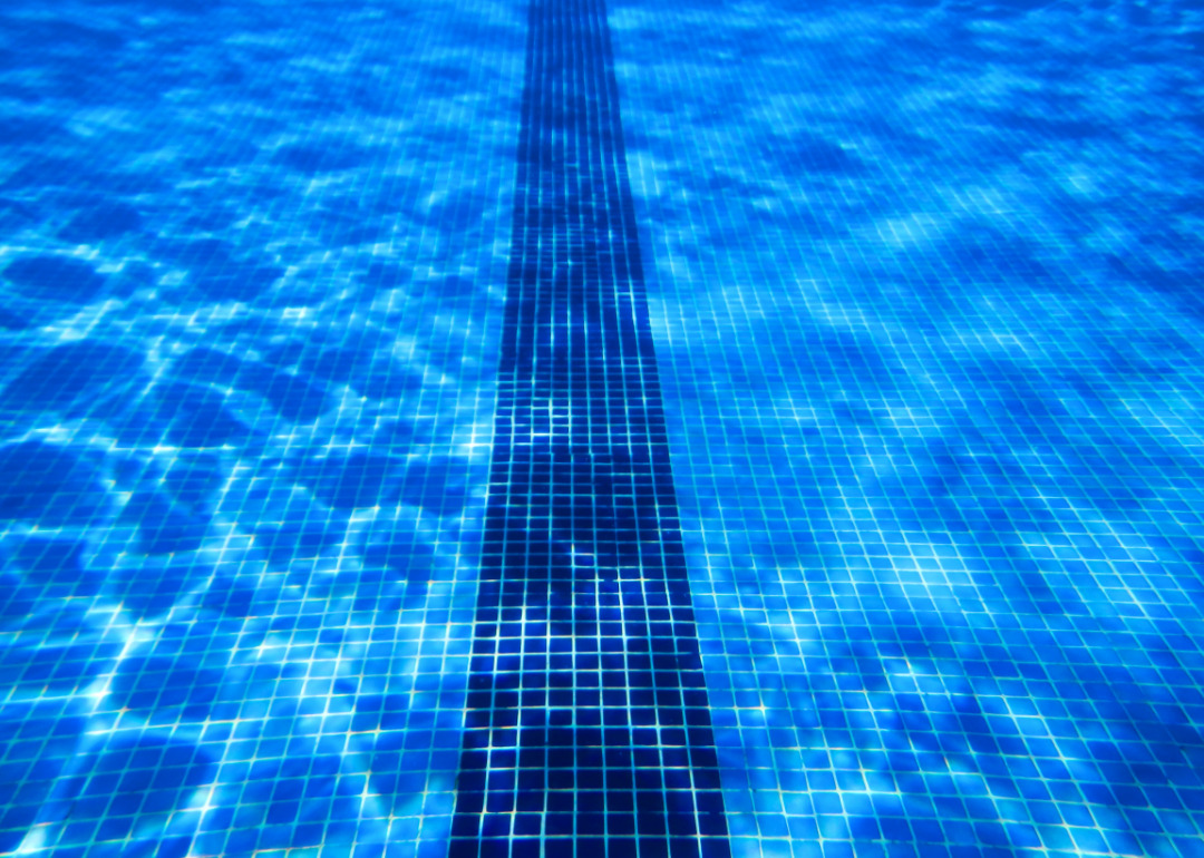 Highest-rated Swimming Pools Near Fort Collins, According to Yelp | Stacker