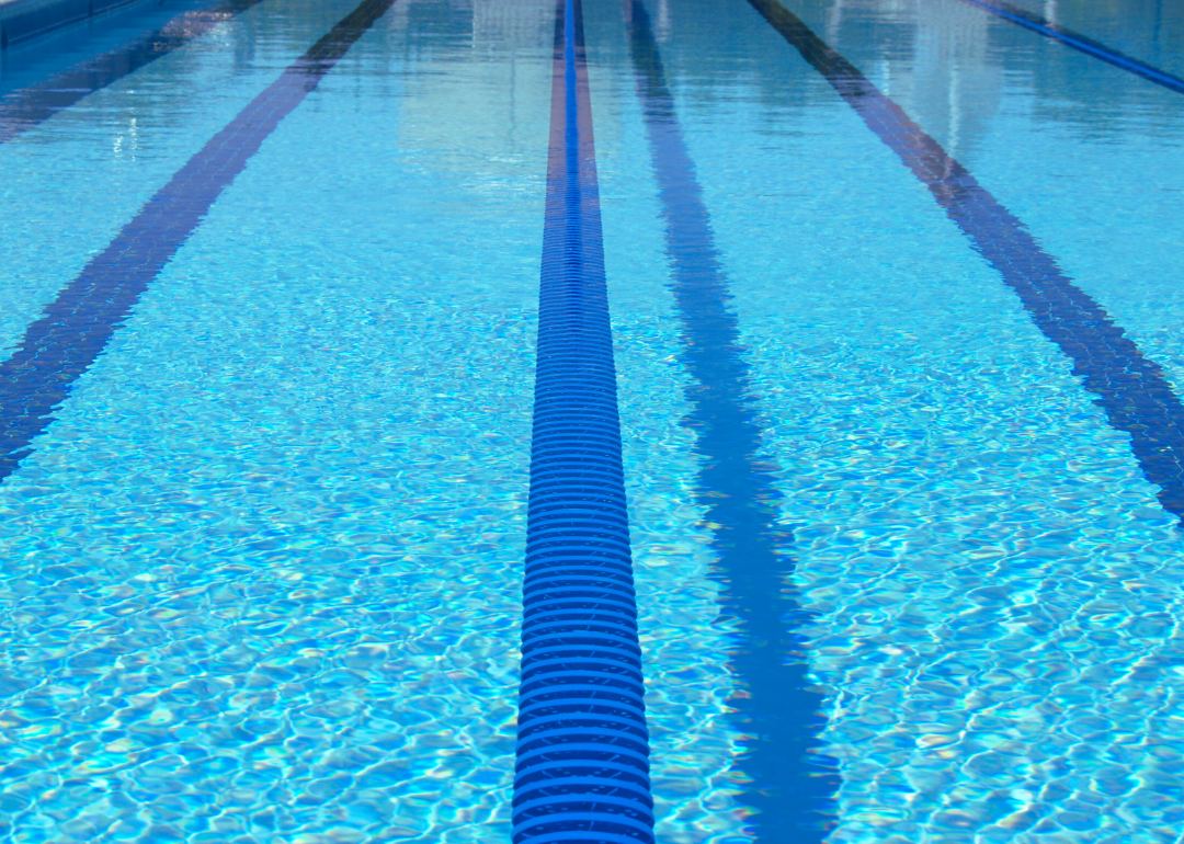 Highest-rated Swimming Pools Near St. Louis, According to Yelp | Stacker