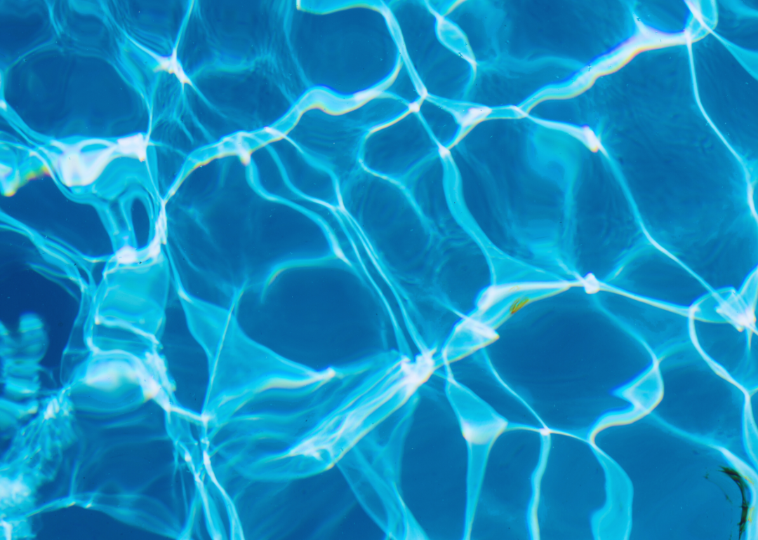 Highest-rated Swimming Pools Near Olympia, According to Yelp | Stacker
