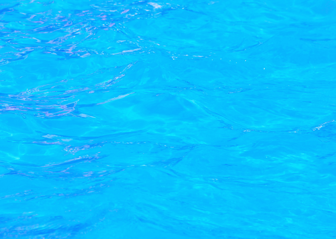 Highest-rated Swimming Pools Near Ocala, According to Yelp | Stacker