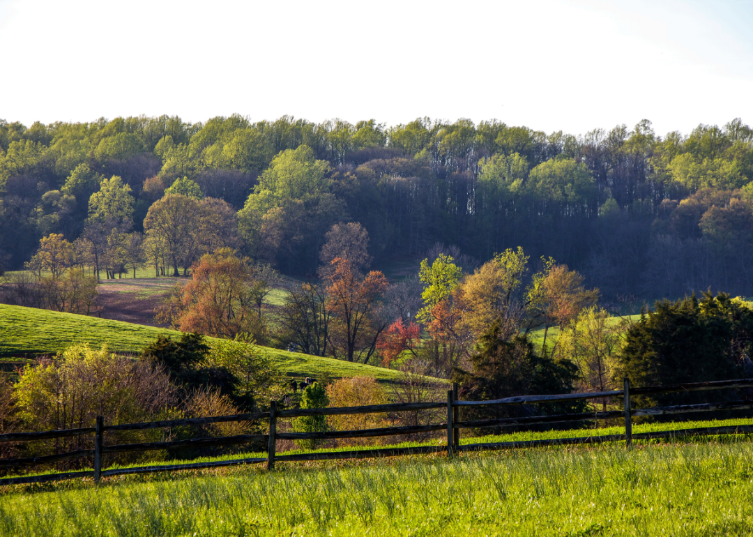 Warmest Decembers in Ritchie County, West Virginia History | Stacker