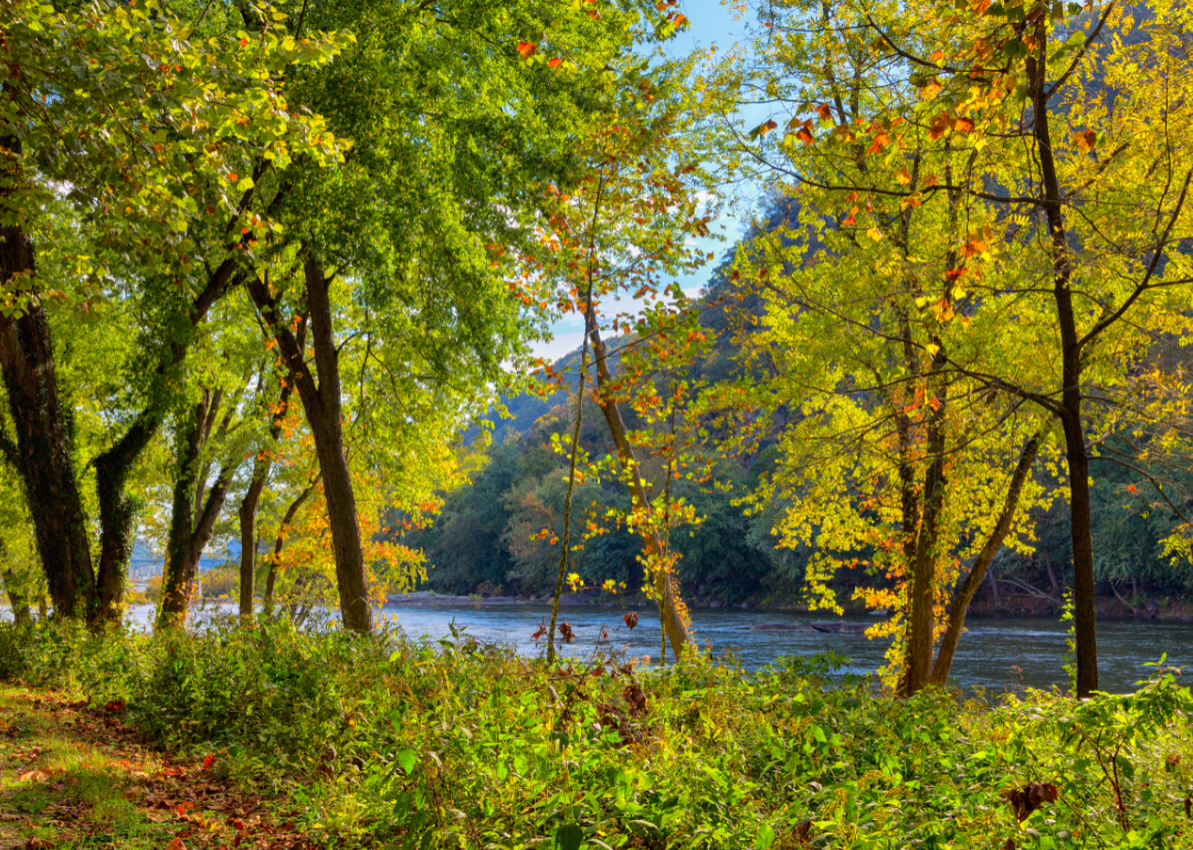 Warmest Decembers in Tyler County, West Virginia History | Stacker