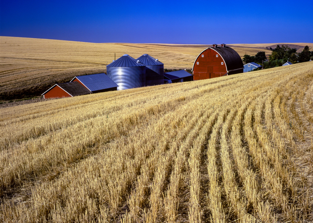 Warmest and Coldest January in Umatilla County, Oregon History | Stacker