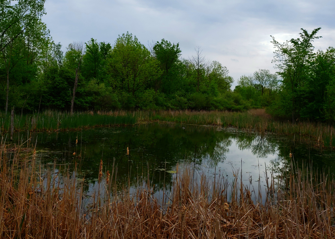 Warmest and Coldest January in Kent County, Michigan History | Stacker