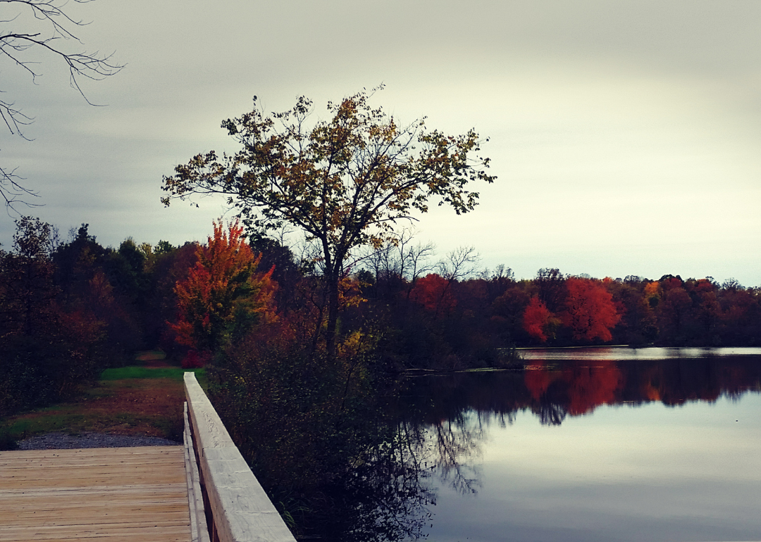 Warmest and Coldest January in Clark County, Wisconsin History | Stacker