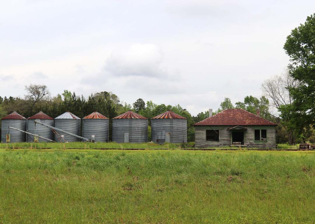 1 in 59 People in Hampton County, South Carolina Are Grandparents ...