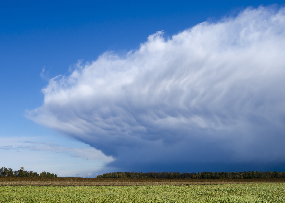1 in 852 People in Roseau County, Minnesota Are Grandparents Caring for ...