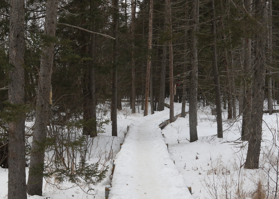 Warmest Decembers in Marshall County, Minnesota History | Stacker