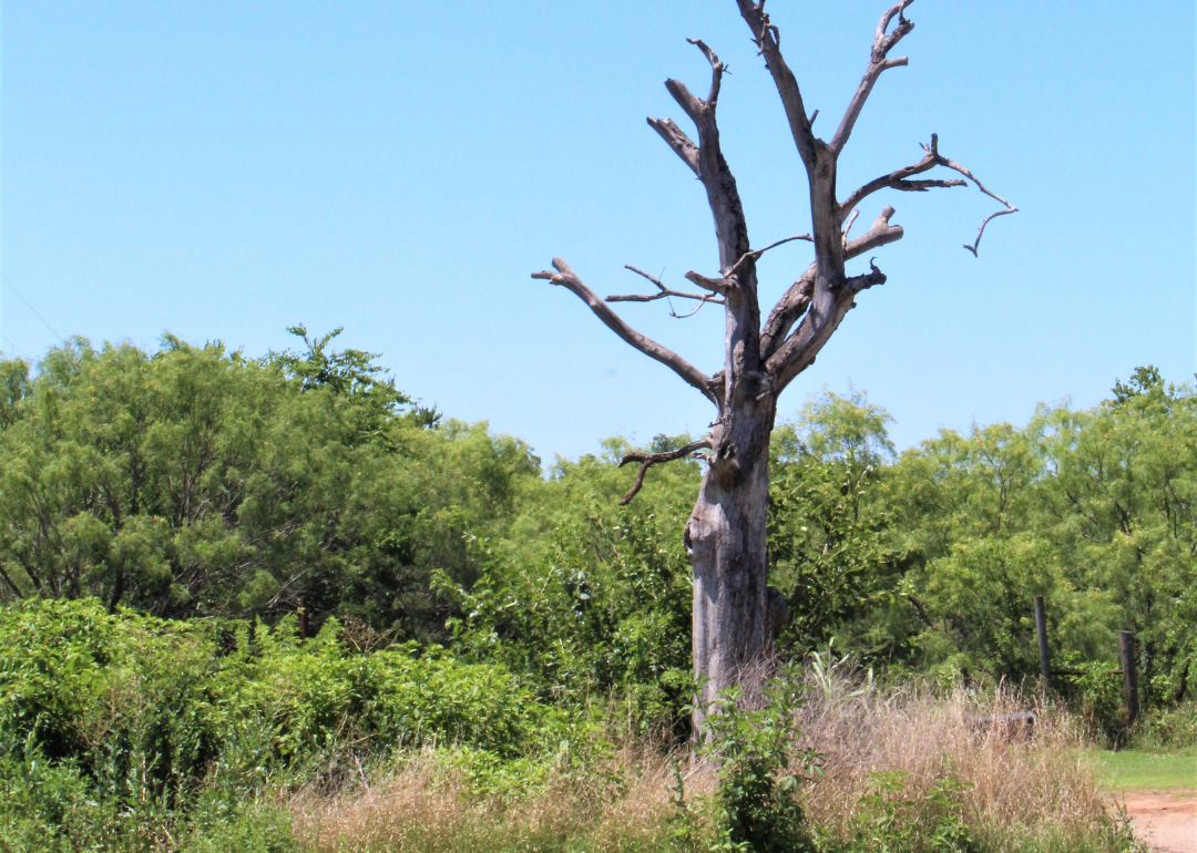 Warmest and Coldest January in Jefferson County, Oklahoma History | Stacker